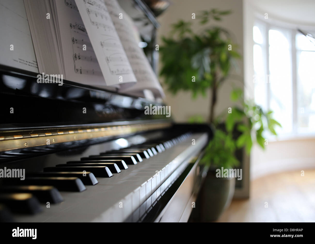 Piano keyboard with plant and bright window Stock Photo - Alamy