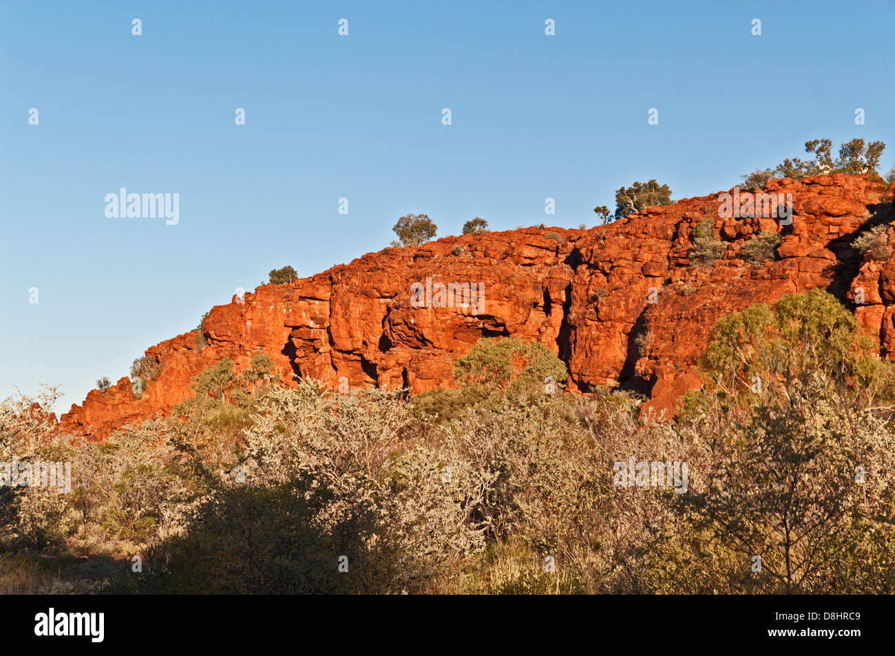 DURBA SPRING, CANNING STOCK ROUTE, WESTERN AUSTRALIA, AUSTRALIA Stock ...