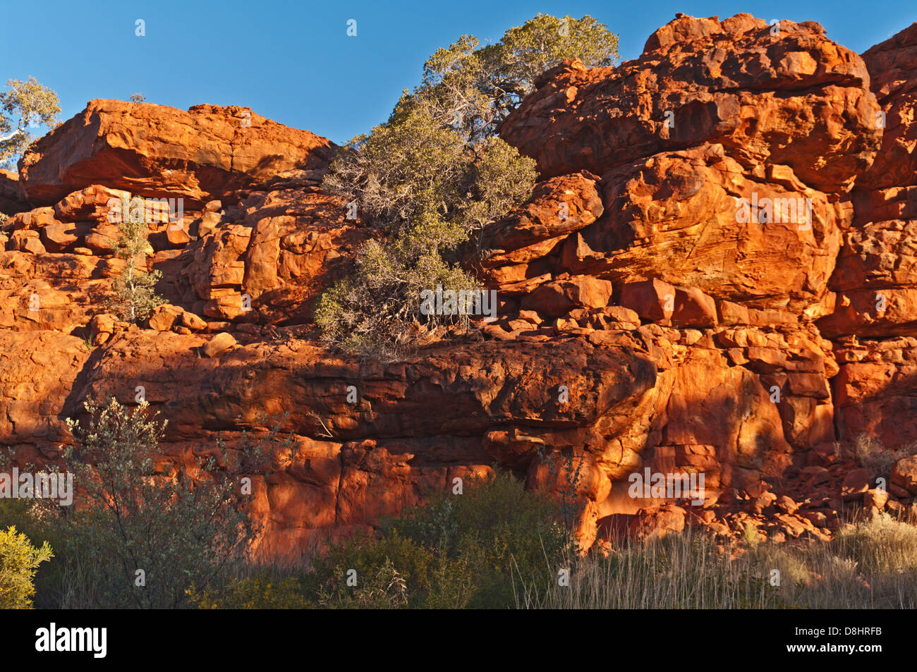 Durba hi-res stock photography and images - Alamy
