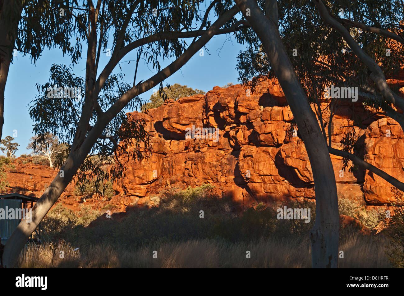DURBA SPRING, CANNING STOCK ROUTE, WESTERN AUSTRALIA, AUSTRALIA Stock ...