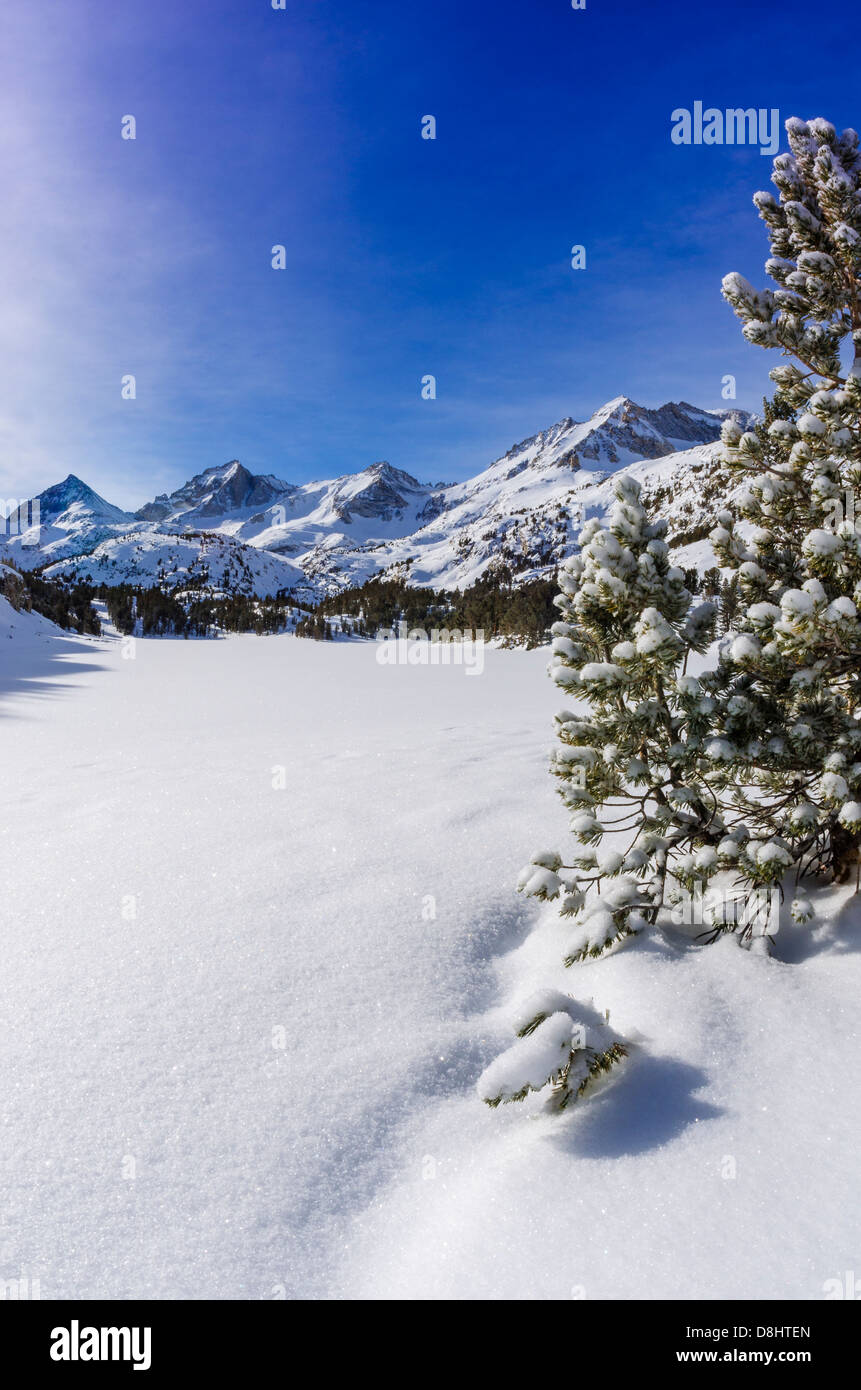 Sierra crest from Long Lake in winter, John Muir Wilderness, Sierra ...