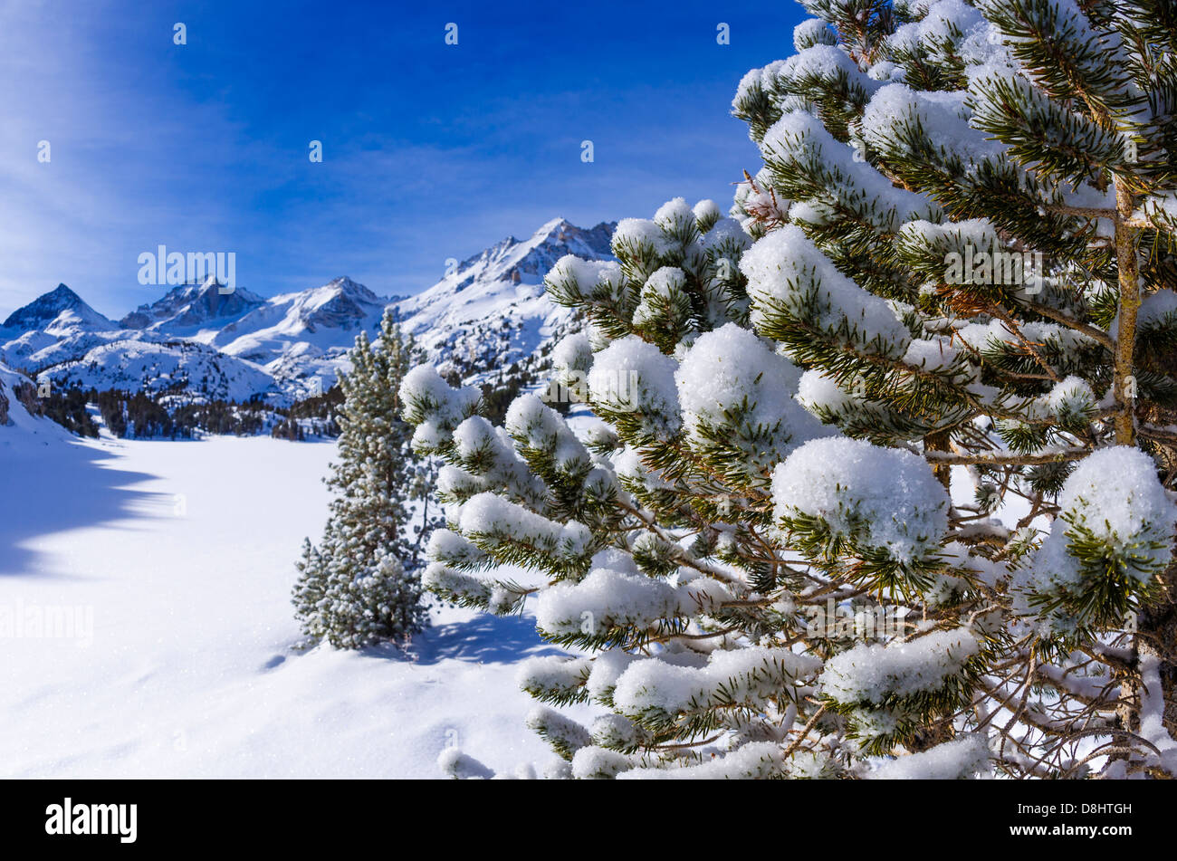 Sierra crest from Long Lake in winter, John Muir Wilderness, Sierra ...