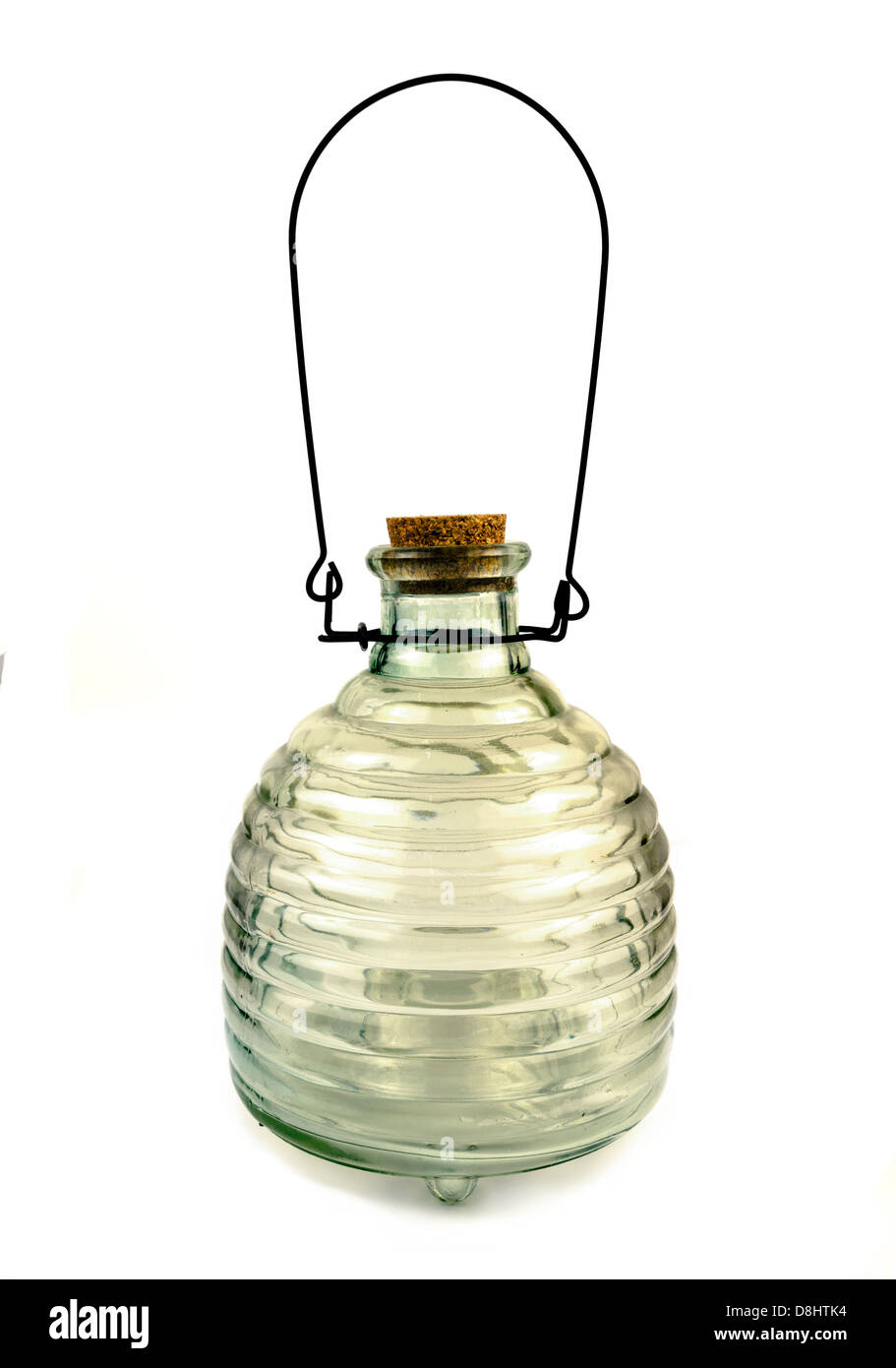 Glass Wasp Trap