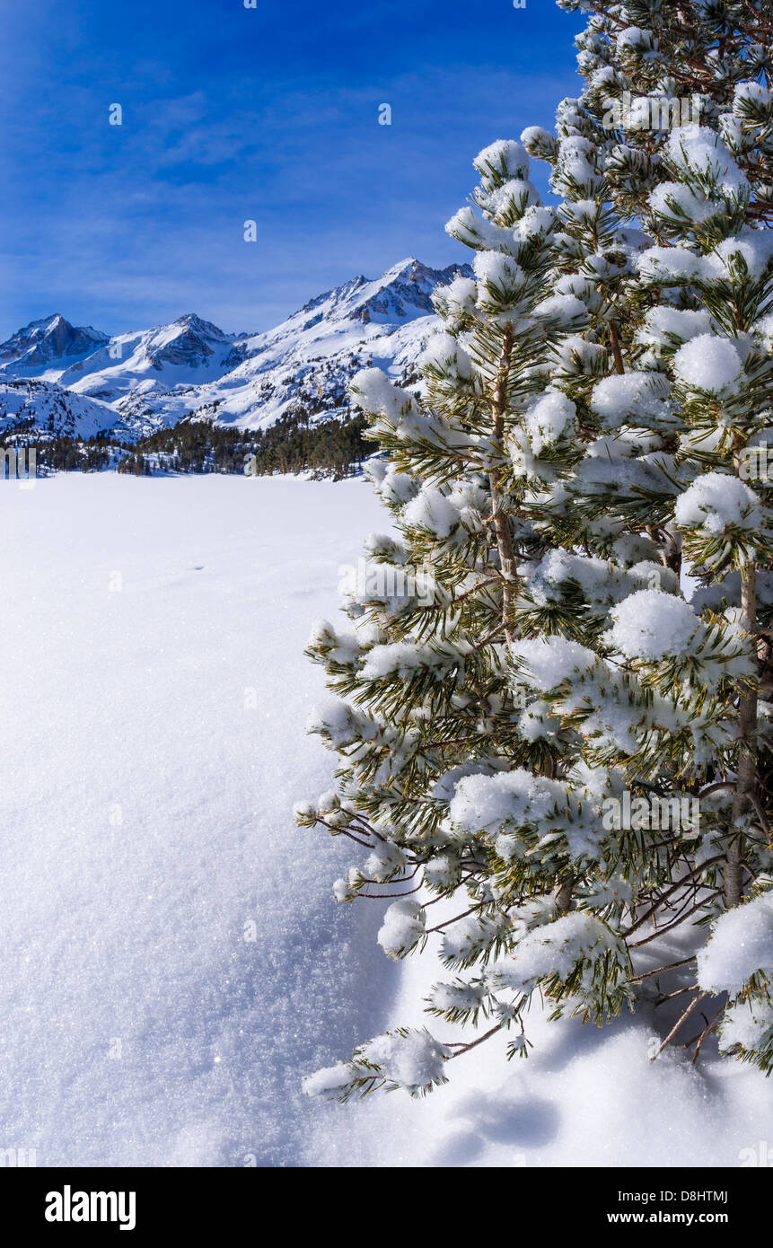 Sierra crest from Long Lake in winter, John Muir Wilderness, Sierra ...