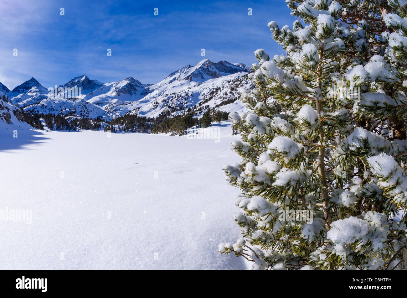 Sierra crest from Long Lake in winter, John Muir Wilderness, Sierra ...