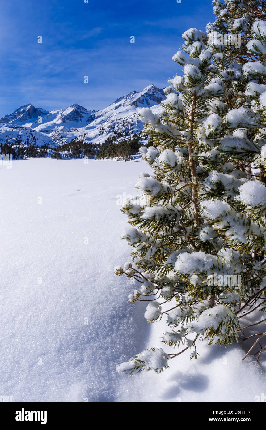 Sierra crest from Long Lake in winter, John Muir Wilderness, Sierra ...