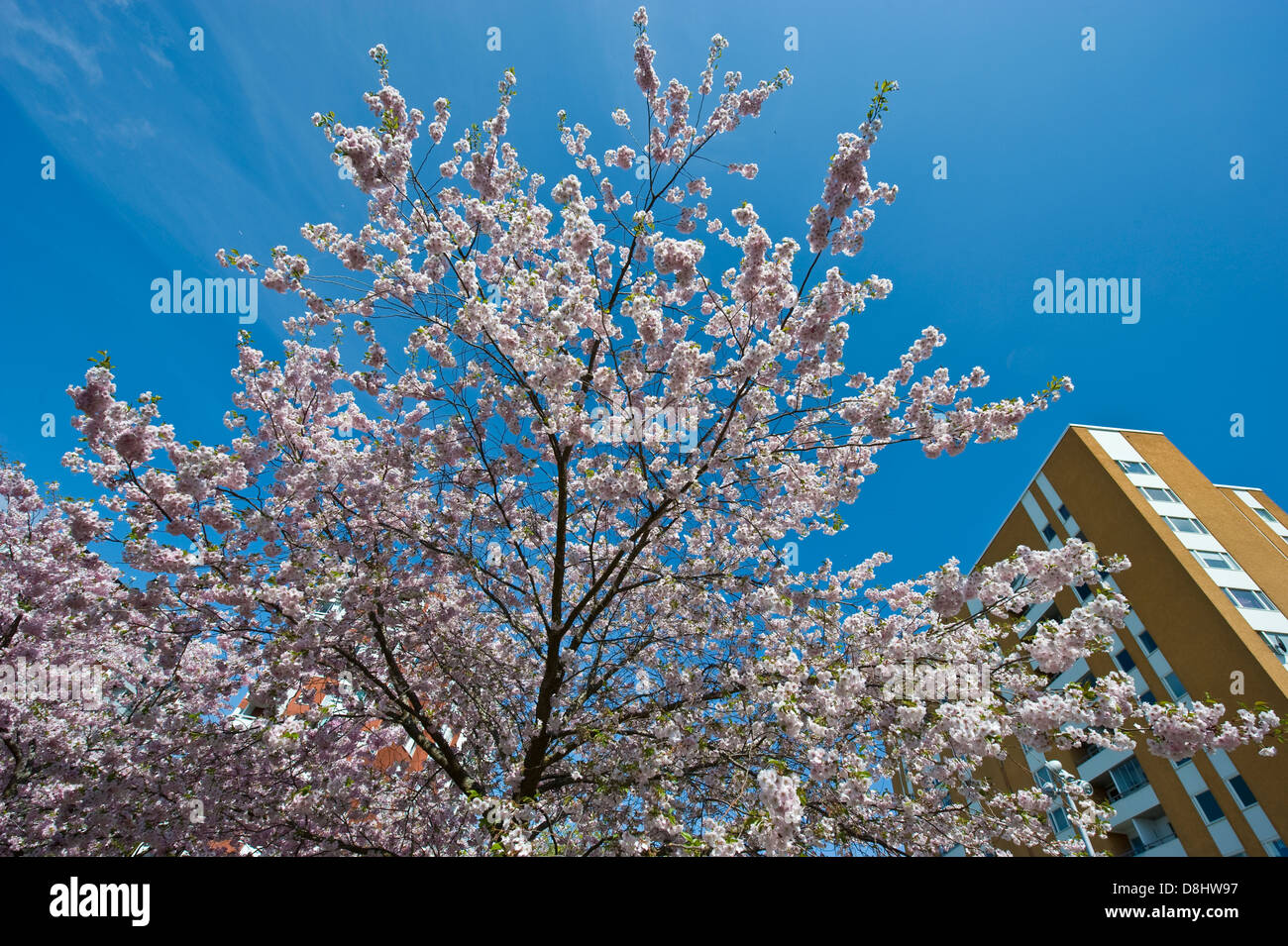 Akalla - a suburb of Stockholm - in late spring Stock Photo - Alamy