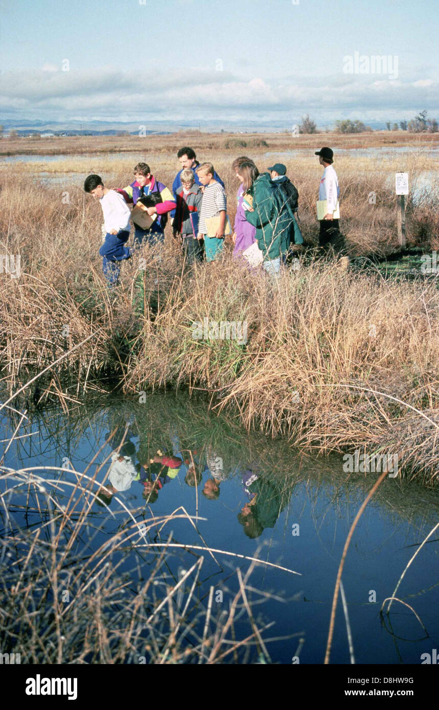 A group of children, led by an adult, engage in environmental education ...