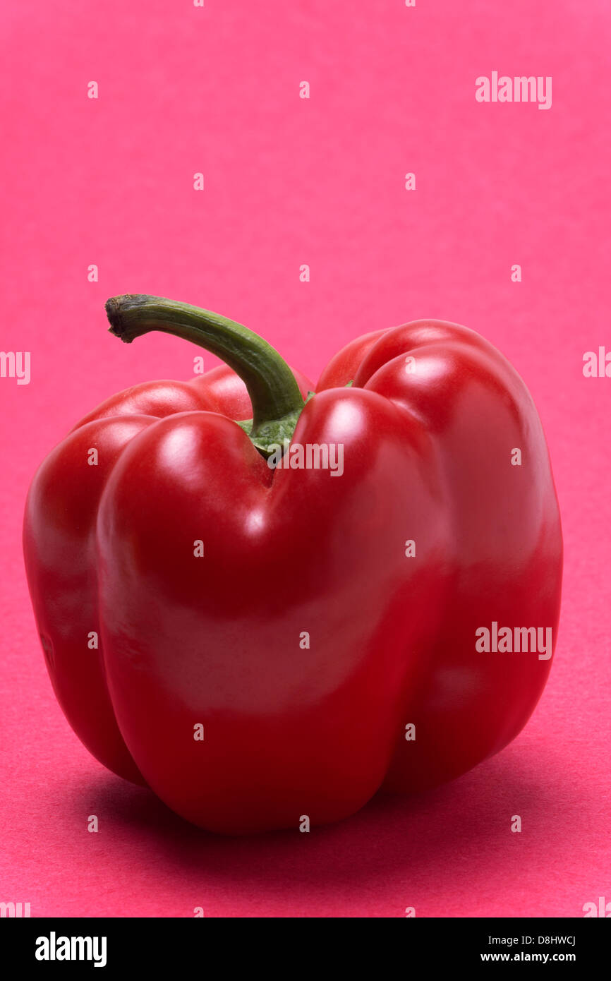 Red Bell pepper on red background in a studio setup Stock Photo - Alamy