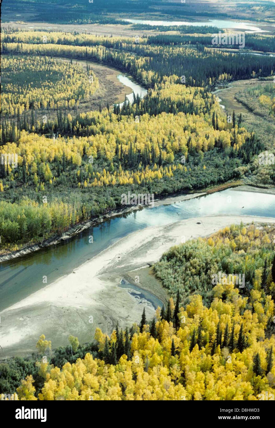 Bright fall foliage covers trees and shrubs, creating a colorful ...