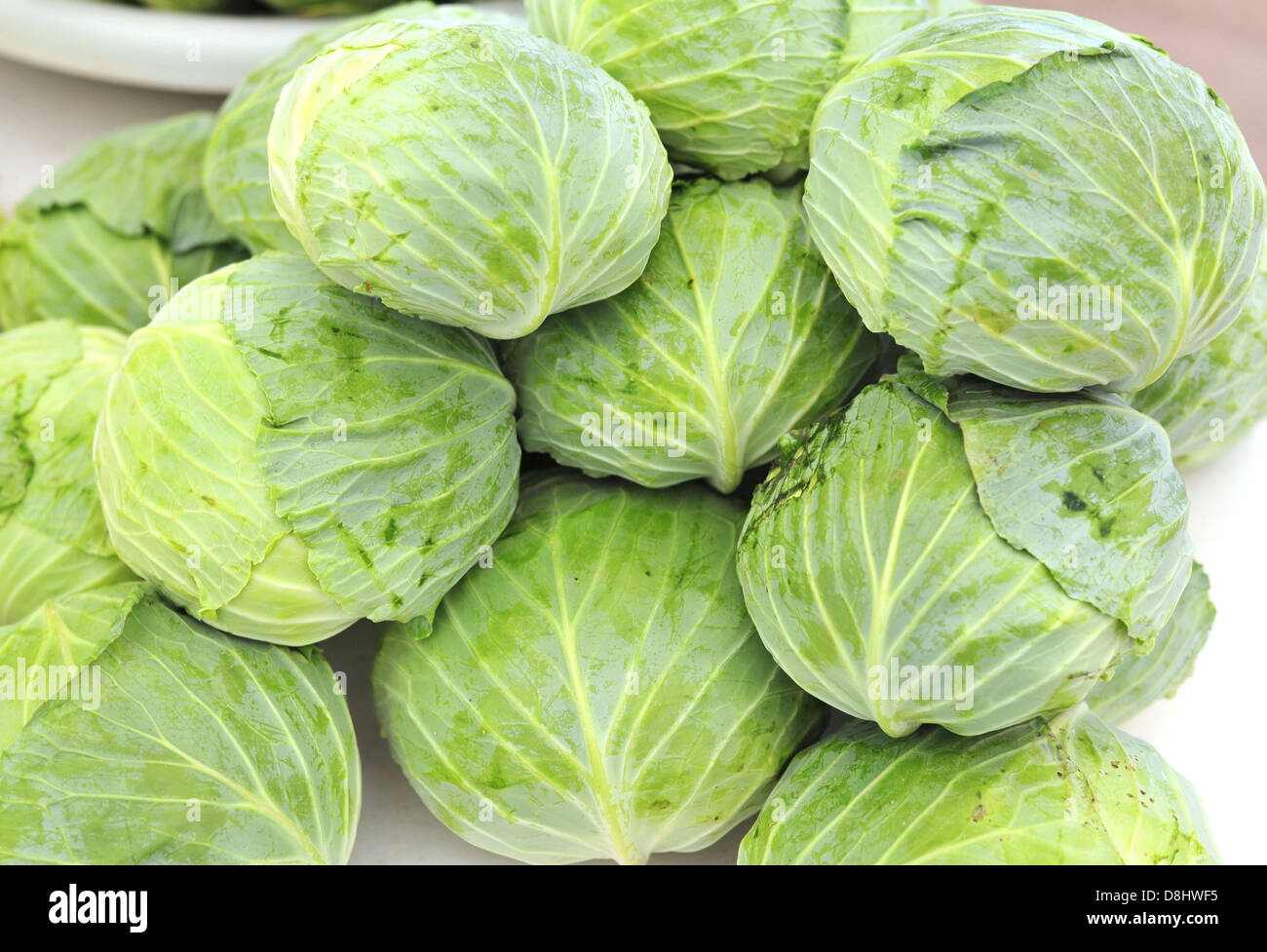 Cabbage group hi-res stock photography and images - Alamy