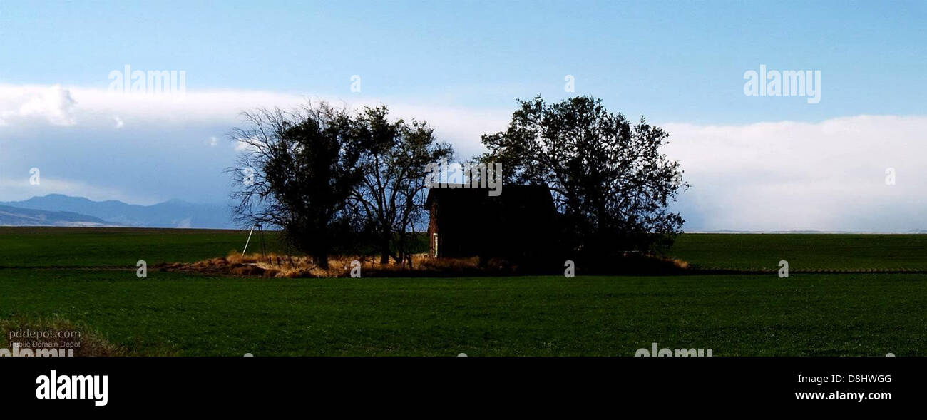 A charming farmhouse situated in a wide open field, surrounded by green ...