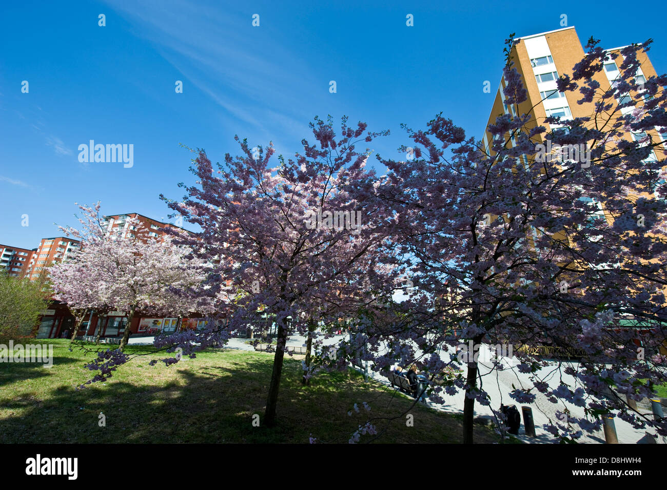 Akalla - a suburb of Stockholm - in late spring Stock Photo - Alamy