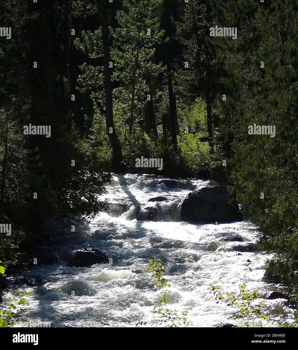 Rushing creek in forest streambed hi-res stock photography and images ...
