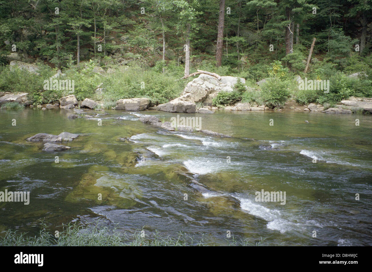 A fast-flowing stream rushes through a rocky mountain landscape, with ...