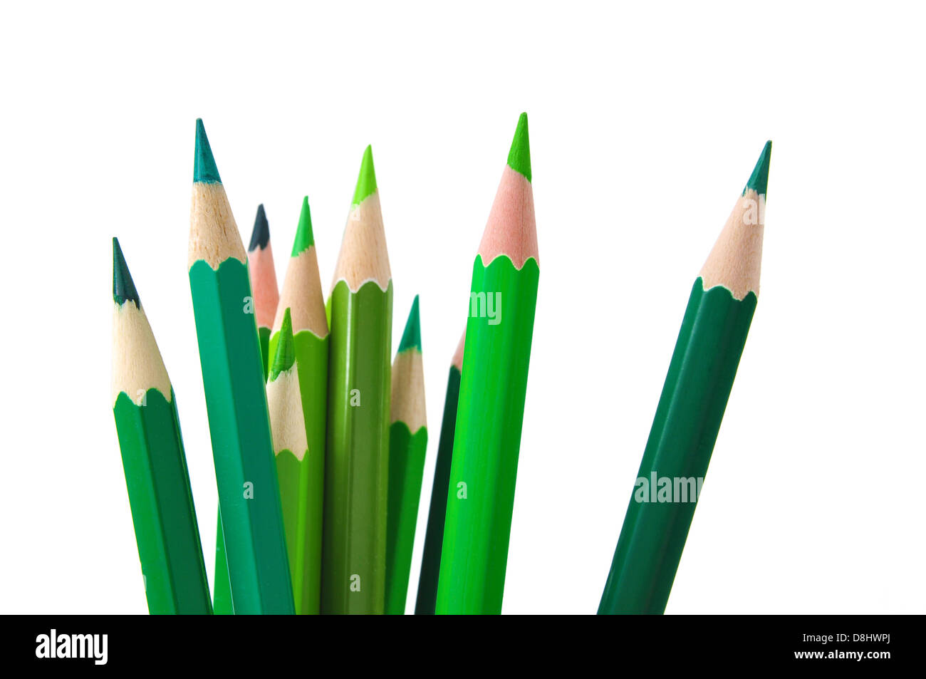 Green Colored Pencils For Sale at Della Gonzales blog