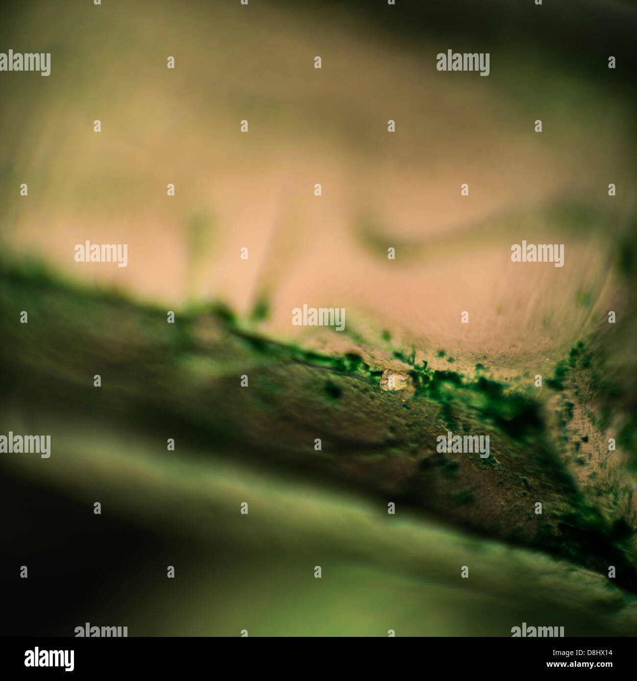 Microscopic Objects High Resolution Stock Photography and Images - Alamy