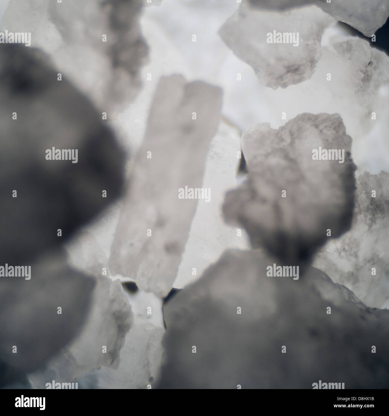 Microscopic Objects High Resolution Stock Photography and Images - Alamy