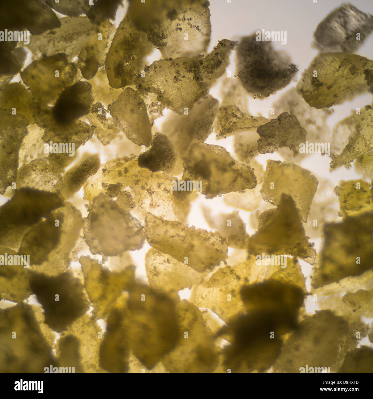 Microscopic Objects High Resolution Stock Photography and Images - Alamy