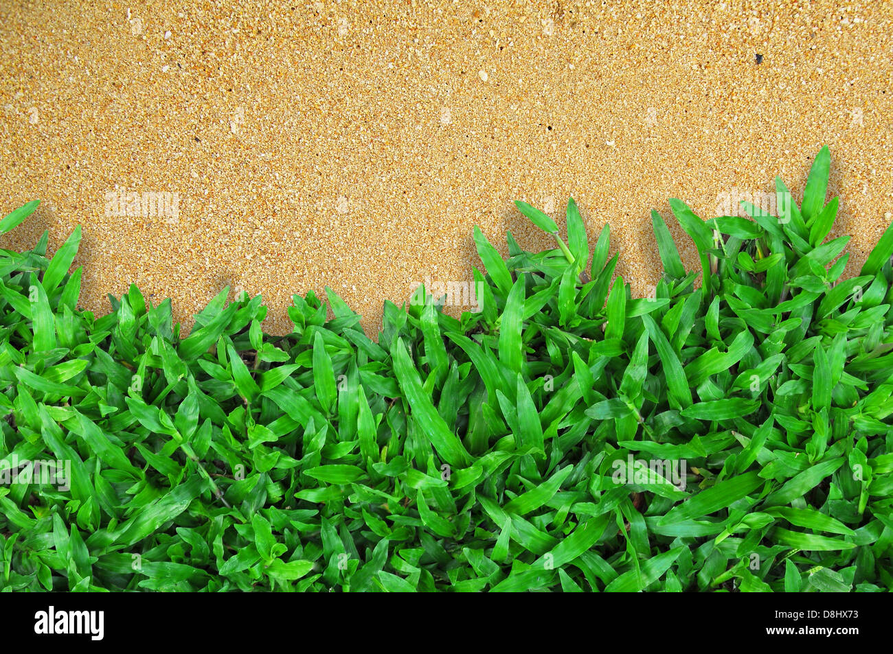 Grass and sand field hi-res stock photography and images - Alamy