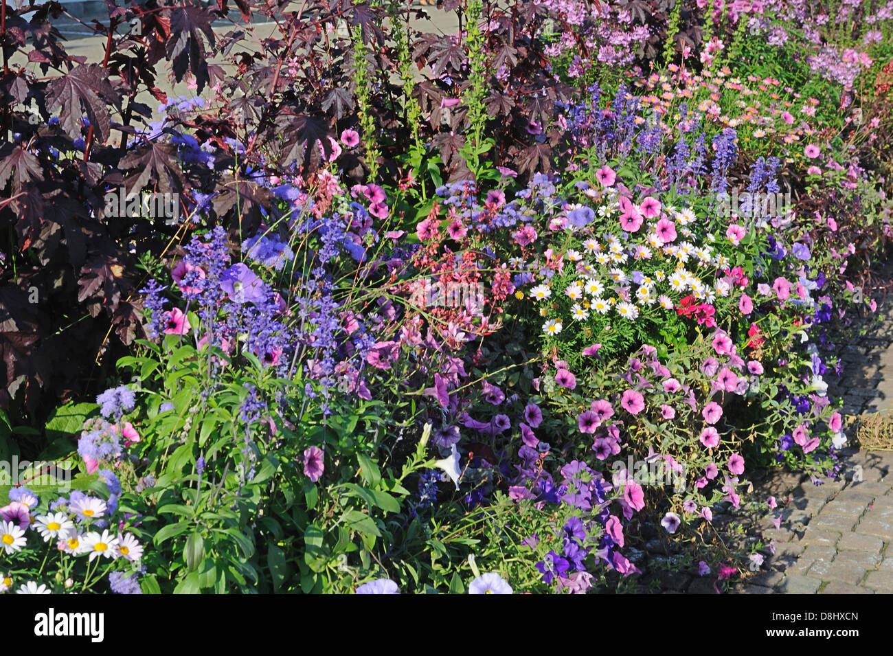 Flower pots in the street, Gothenburg, Sweden Stock Photo - Alamy