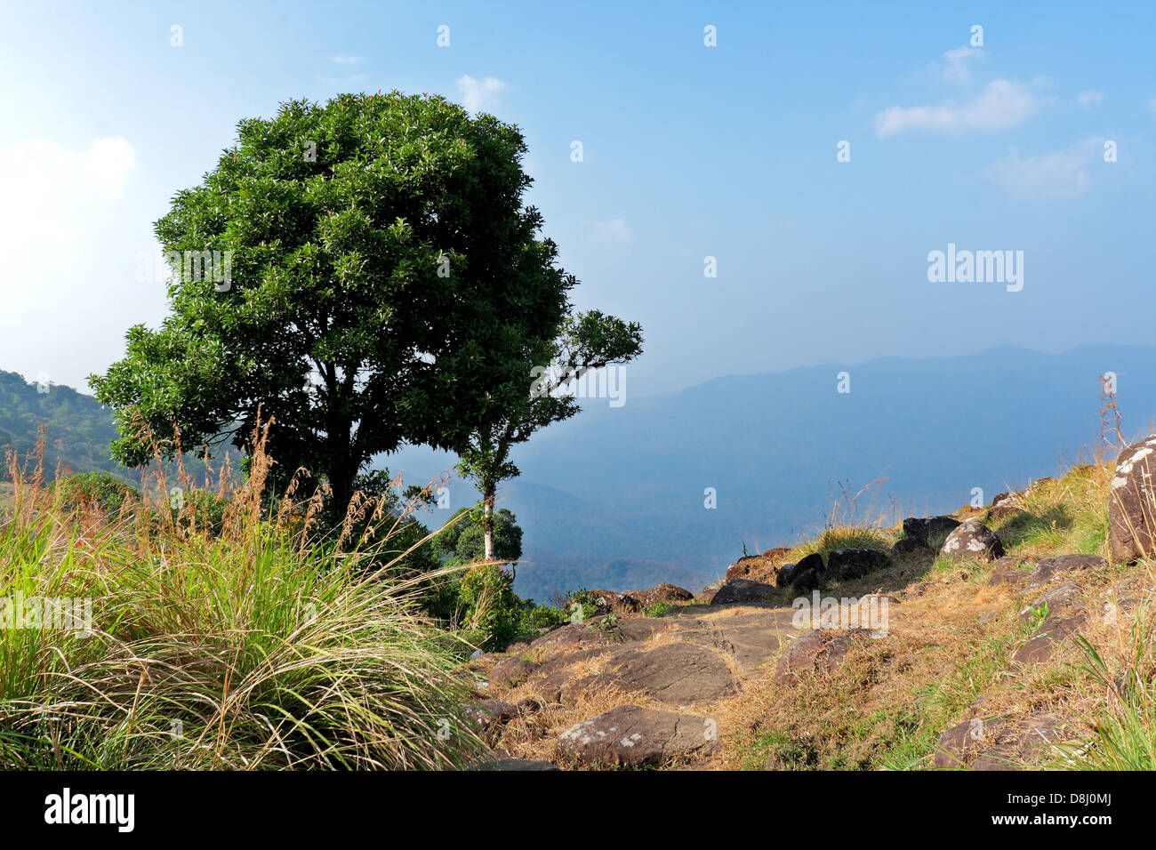 Ponmudi, Thiruvananthapuram, Kerala, India Stock Photo - Alamy