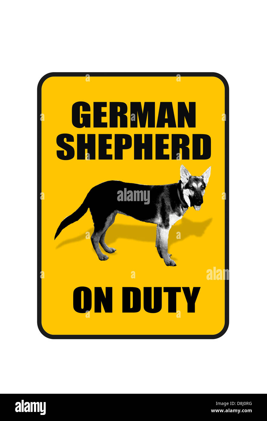 German shepherd dog on Cut Out Stock Images & Pictures - Alamy