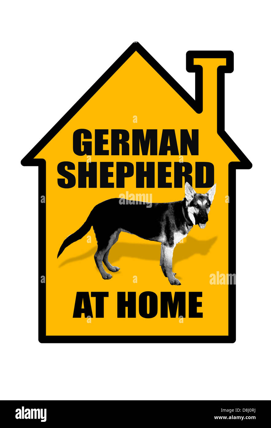 German Shepherd Dog at Home Stock Photo - Alamy