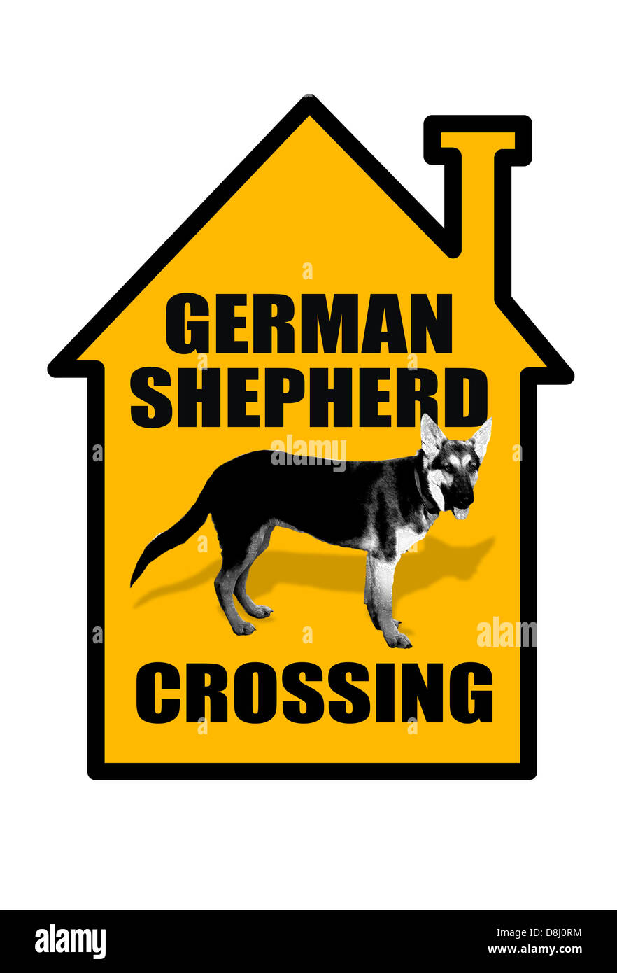 German Shepard Dog Stock Photo - Alamy