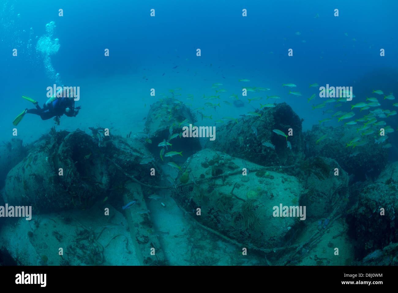 A female scuba diver swims explores the rubble of the Sea Emperor wreck ...
