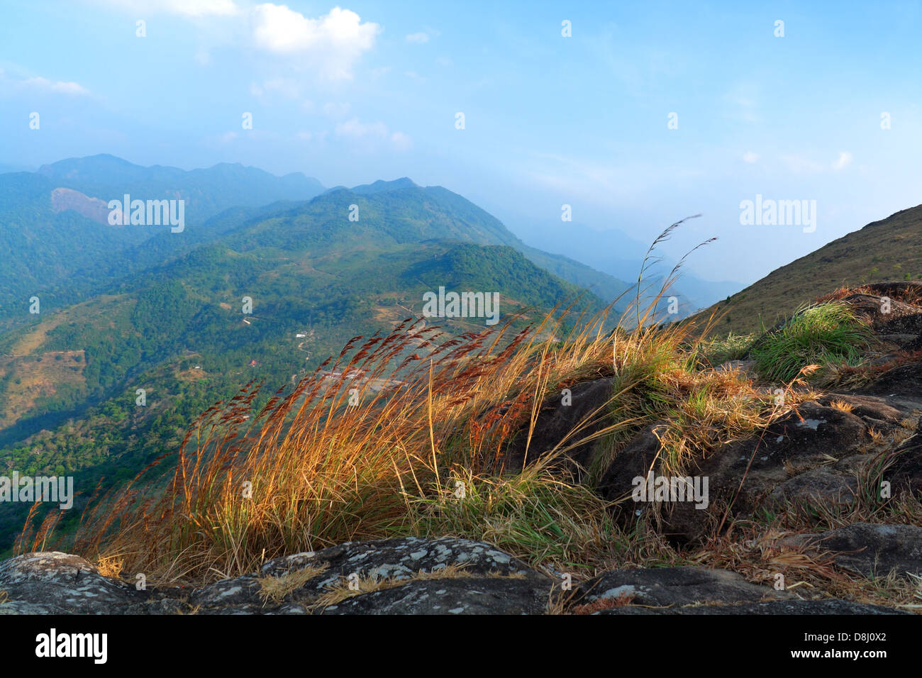 Ponmudi, Thiruvananthapuram, Kerala, India Stock Photo - Alamy