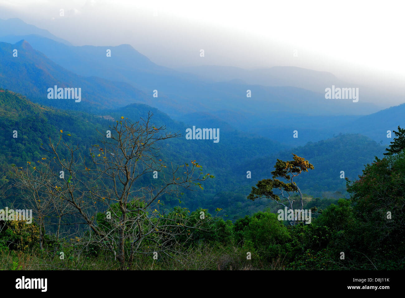 Ponmudi peak india hi-res stock photography and images - Alamy