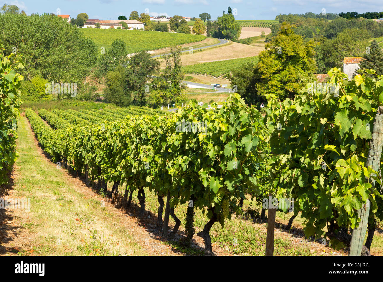Bordeaux vineyards car hi-res stock photography and images - Alamy