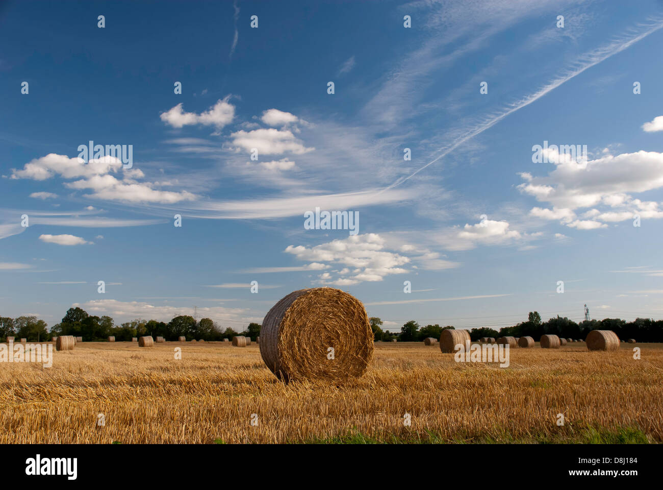 Round hay bales in a field in Normandy, France, with blue sky and wispy ...