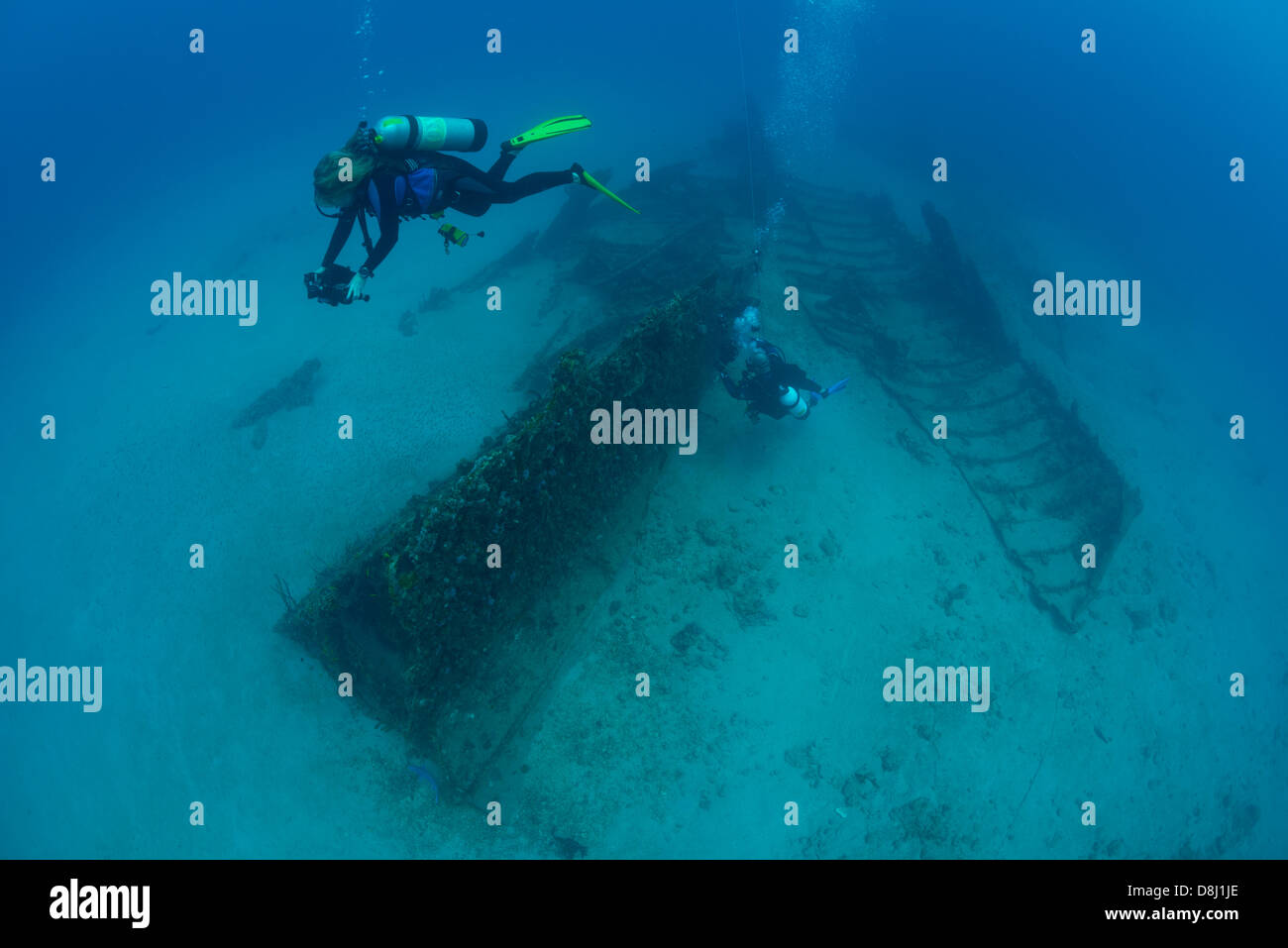 scuba divers take photos and video of a wreck in Florida Stock Photo ...