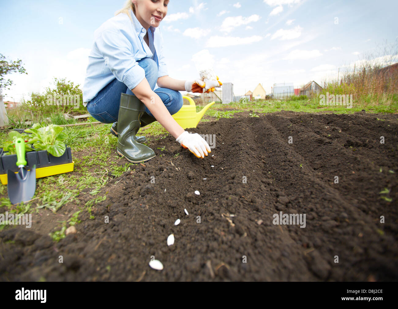 Sowing seed hi-res stock photography and images - Alamy