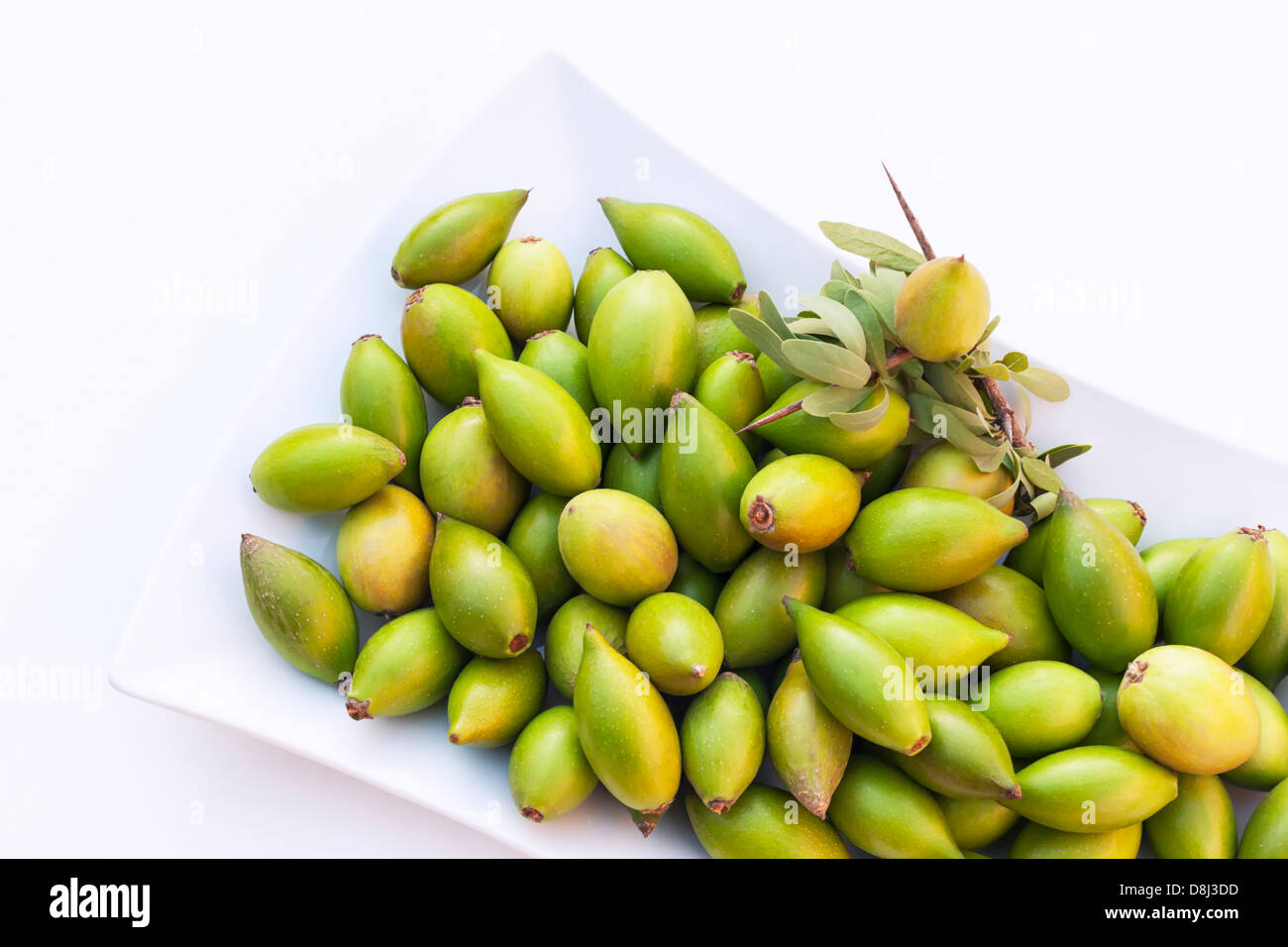 Argan nuts and oil hi-res stock photography and images - Alamy
