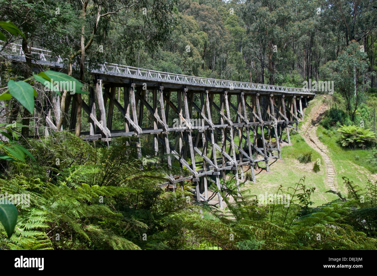 Noojee Trestle Bridge, near Warragul, Victoria, Australia Stock Photo ...