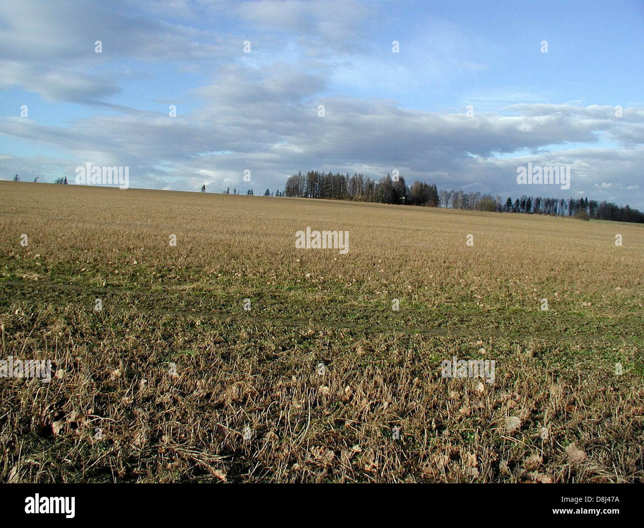 A wide, open field in the countryside, showcasing vast green grass and ...