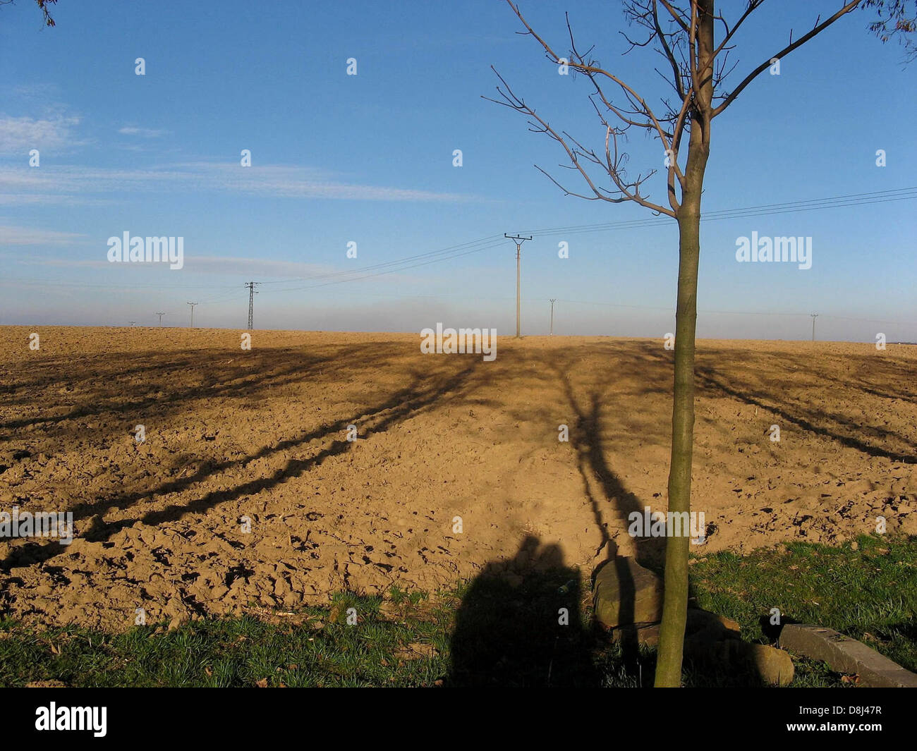 This image depicts a field in fall, with the landscape transitioning ...