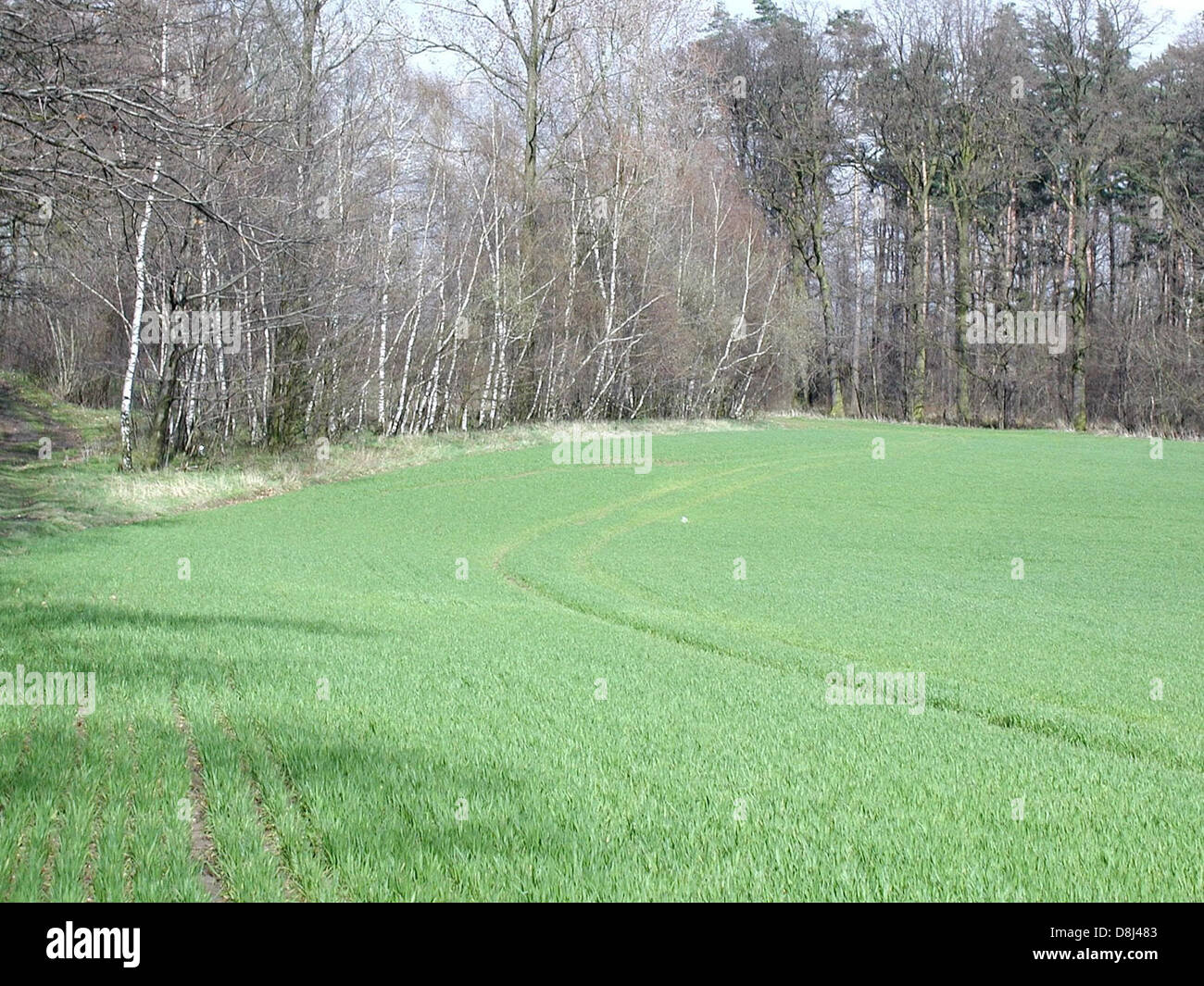 The photo features a vast field of open land, possibly used for ...