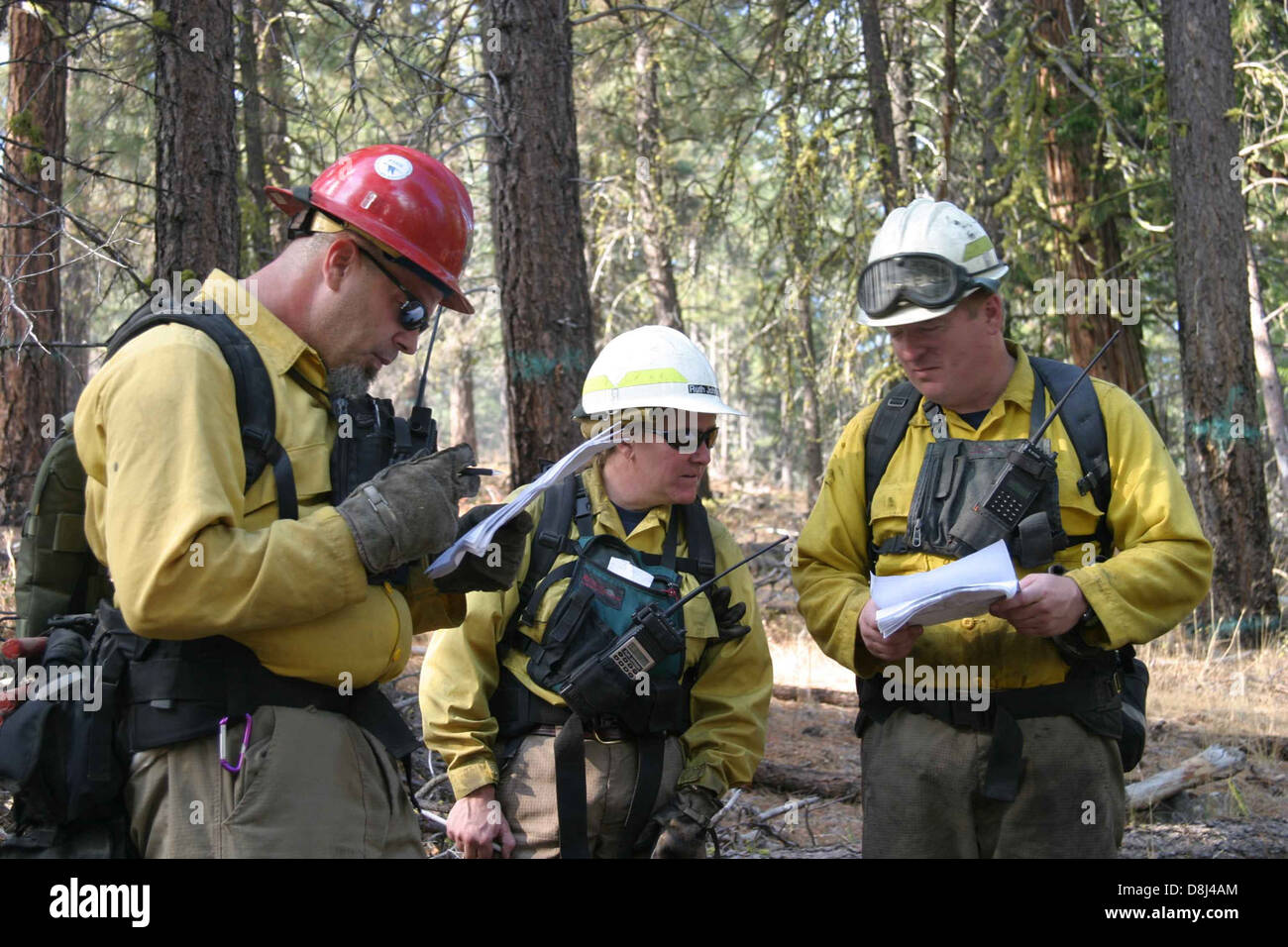 A fireman briefs the team during a controlled burn, with the flames and ...