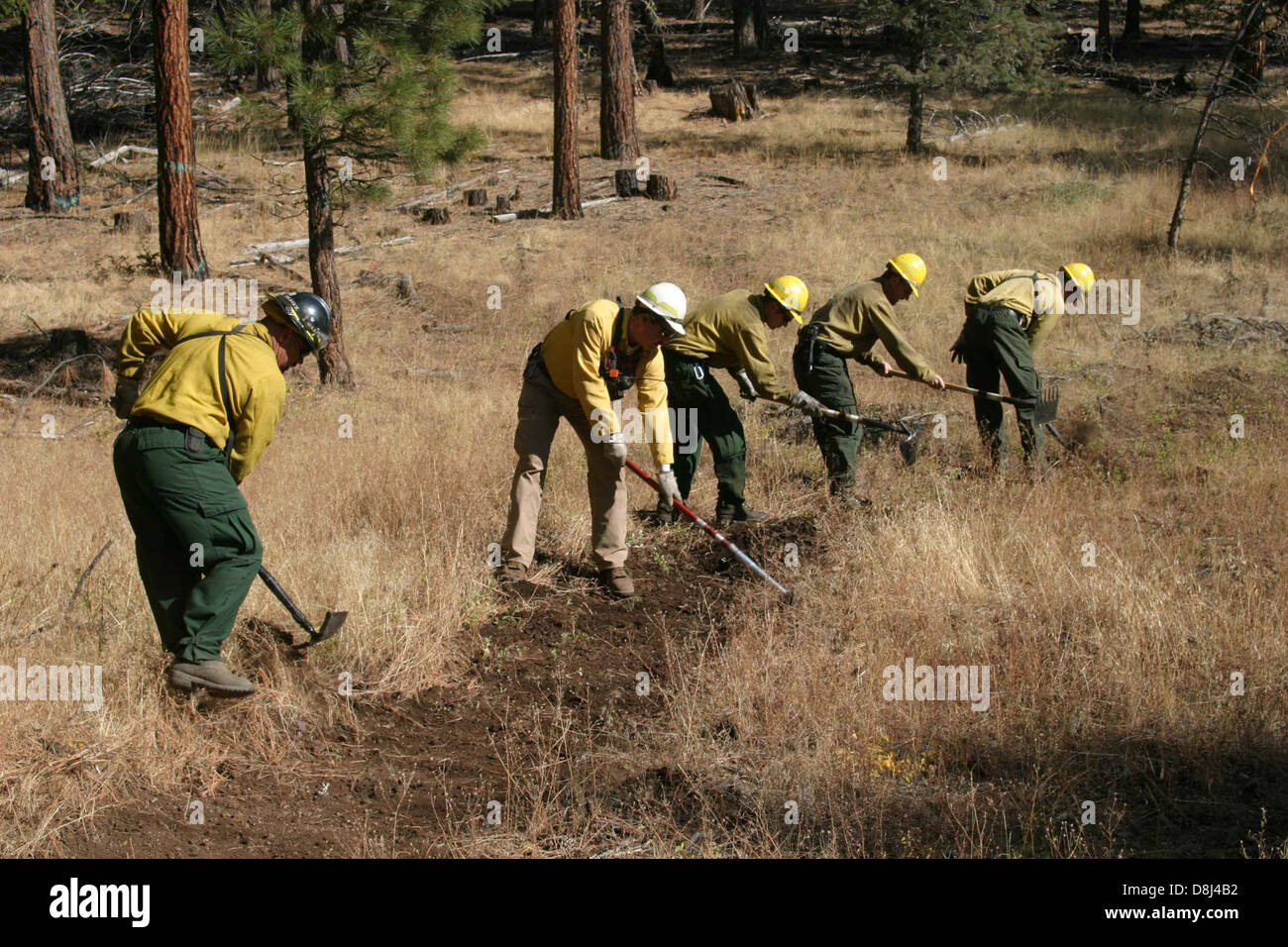 A fire crew prepares a fire line in a controlled burn area, ensuring ...