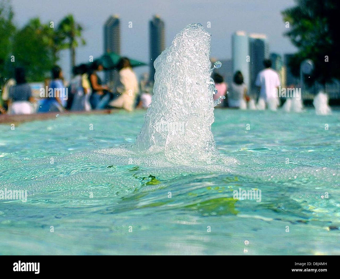 A collection of decorative fountains and pools arranged in a tranquil ...