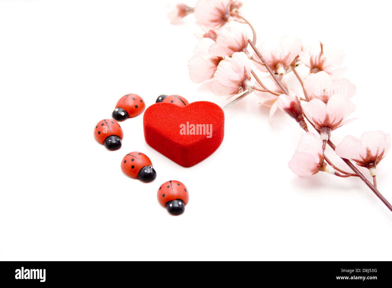 Ladybug with heart Stock Photo - Alamy