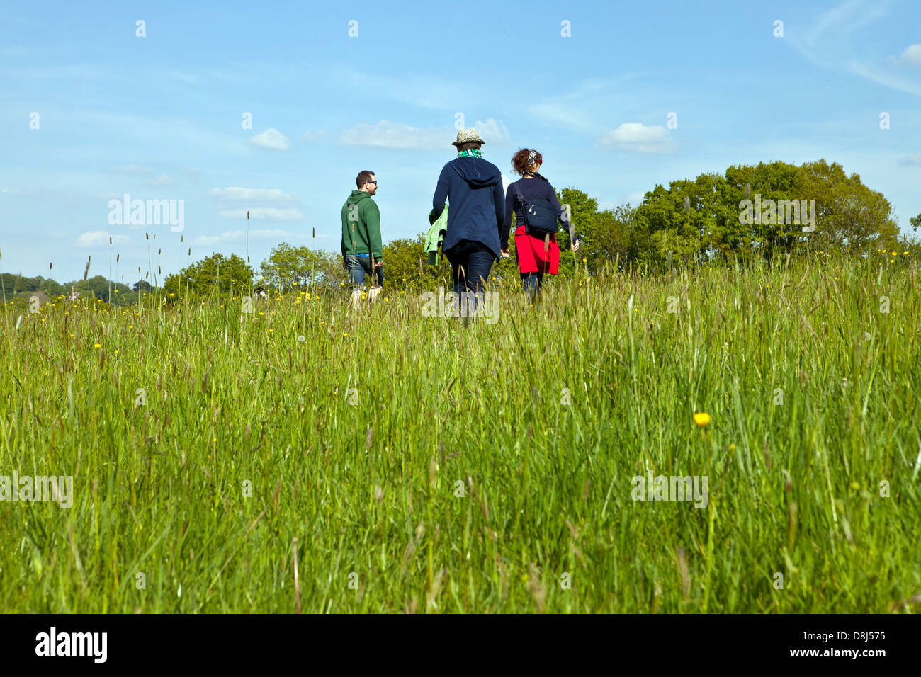 Three friends walk in meadow Stock Photo - Alamy