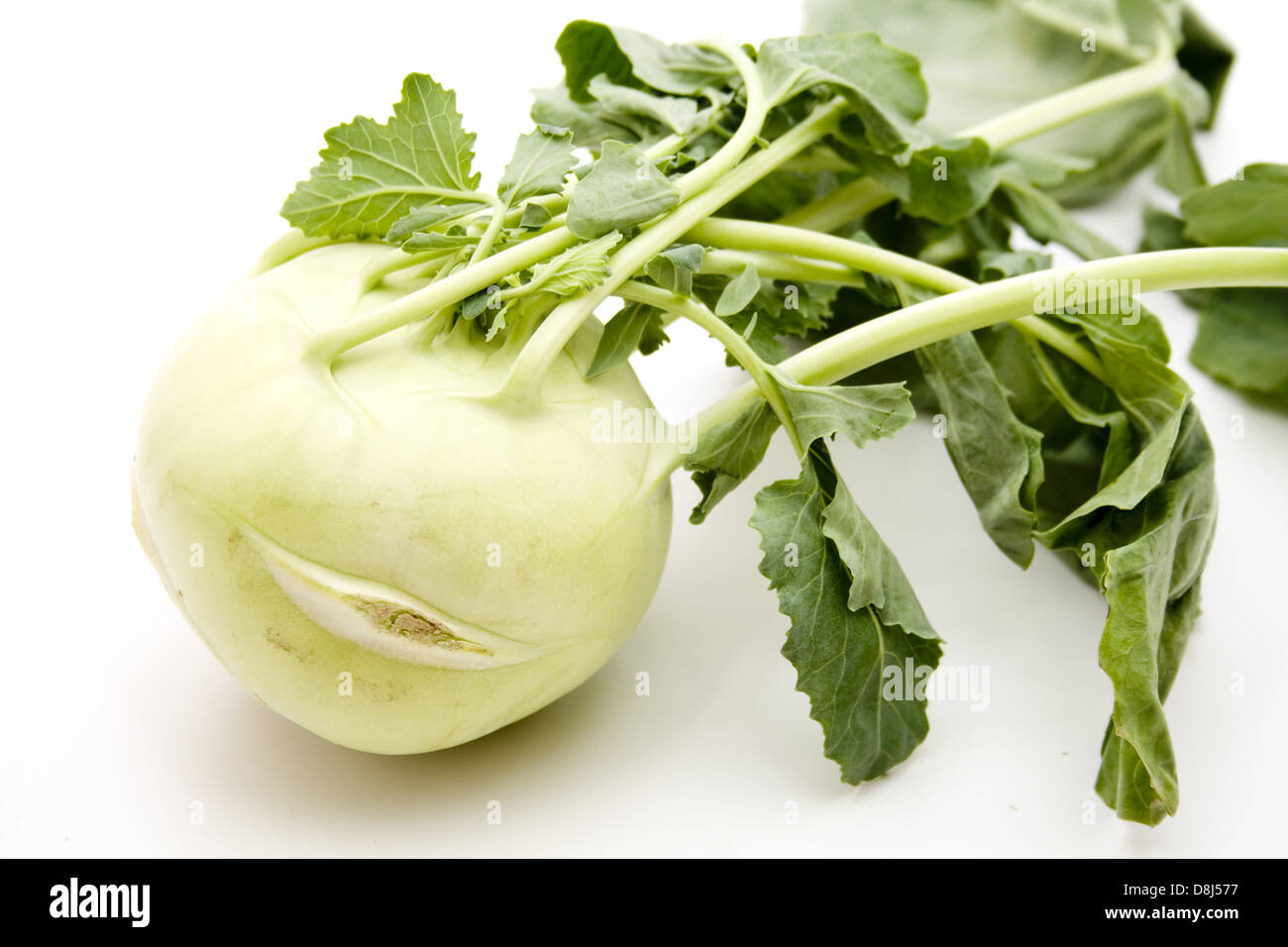 Kohlrabi side dish hi-res stock photography and images - Alamy