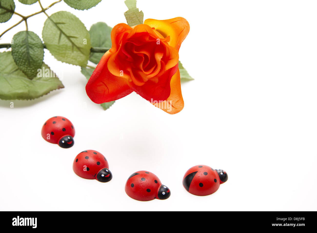 Rose with ladybug Stock Photo - Alamy