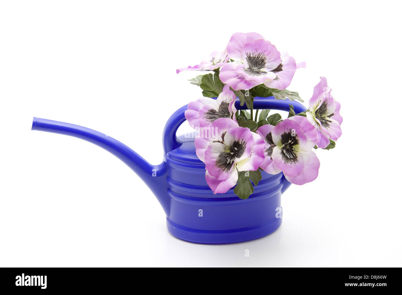 Blue watering can with flowers Stock Photo - Alamy