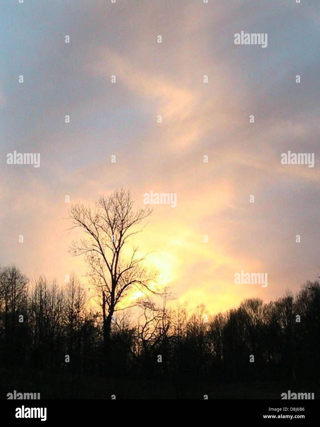 A golden evening scene with warm hues lighting the sky and landscape ...